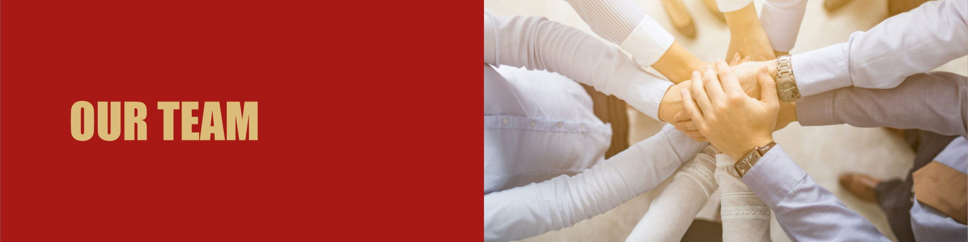 OUR TEAM | Welcome to www.tamasha.com.pk/